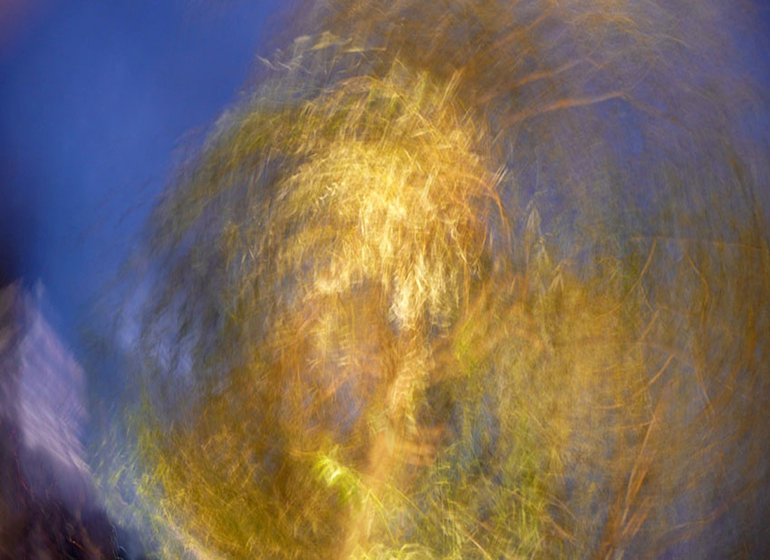 Photography • Susan Gardner